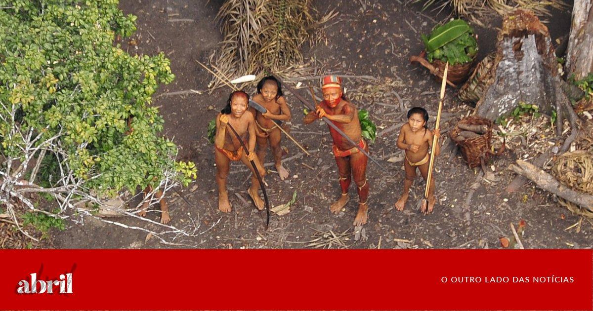 Senado brasileiro vai investigar massacre de índios isolados no ...